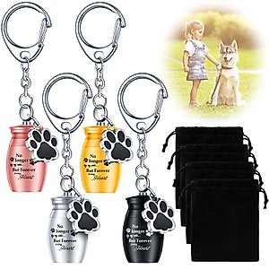 Batiyeer 4 Pcs Pet Urns Keychain for Dogs Ashes Keepsake Stainless Steel Small Pet Cremation Keepsake for Dogs Cats Ashes with Black Velvet Storage Bags, Puppy Cremation Jewelry Paw Charm