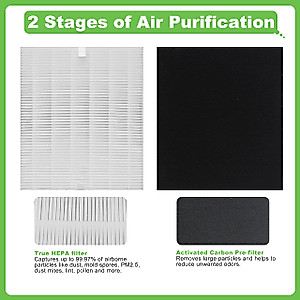 Hichoryer D480 True HEPA Replacement Filter D4, Compatible with Winix D480 Air Purifier, Compare to Winix D4 Filter, Item Number 1712-0100-00, 2 H13 True HEPA Filter & 8 Activated Carbon Filters