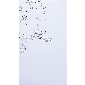 Neutrogena Fragrance Free Liquid Neutrogena, Facial Cleansing Formula, 8 oz Pump Bottles (Pack of 4)