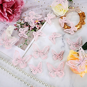 WILLBOND 18 Pieces Butterfly Hair Clip Halloween Lace Hair Bows Embroidery Butterfly Hair Pins Hair Accessories for Halloween Cosplaying Women, 2 Sizes(Pink)