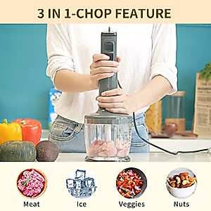 La Reveuse Immersion Hand Blender, 3 in 1, 300 Watts 2 Speeds Multi-purpose with Whisk,Mixing Beaker,Food Chopper Grinder attachments