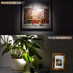 FZWLE 2 Pack Dimmable Indoor Spot Lights with Timer & Remote, 3W LED Up Lights, 3000K/4000K/5000K Adjustable, Ideal Indoor Accent & Plant Spotlight