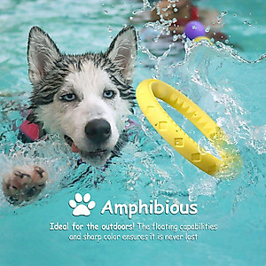 Fluffy Paws Dog Chewing Ring - Soft Rubber Ring Dental Chewing Teething Biting Chasing Training Toy for Small and Medium Dog Puppy - 10", Yellow