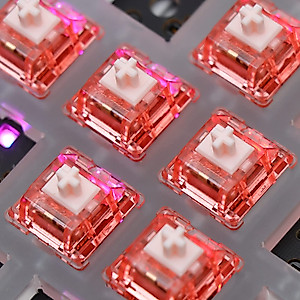 EPOMAKER Ajazz Diced Fruit Peach Switch, Linear, 45+1 Pieces for Mechanical Keyboard Replacement(Ajazz Peach Switch)