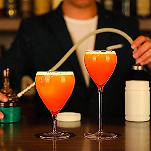 narratorbook Cocktail Smoker Kit Portable Smoking Gun Food Smoker Smoke Infuser for Drinks Molecular Bubble Water Sprayer Handheld Drink Smoker Kit for Bar Kitchen