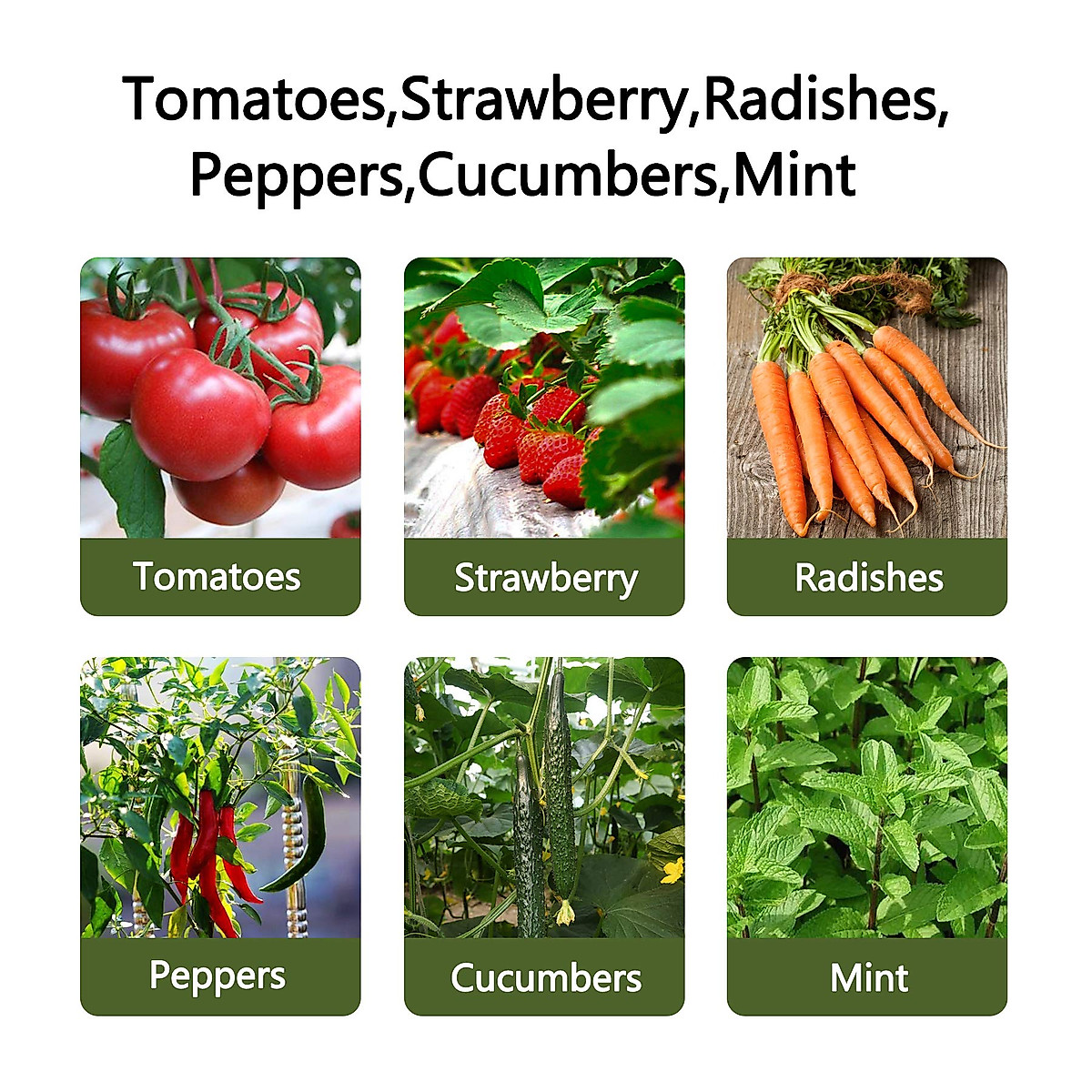 Easeen 12 Set Seedling Trays Seed Starter Kit- 144 Cells Plant Grow Kit, Garden Seed Propagator Premium Seedling Dome and Tray for Seeds Growing (12 Cells Per Tray)