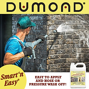 Smart 'n Easy Efflorescence Remover - Heavy Duty Professional Strength Formula - Removes The Toughest Salt, Calcium, and Magnesium Deposits from Concrete, Brick, Stucco, Pavers, & More - 1 Gallon
