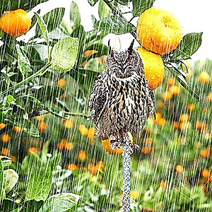 Kungfu Mall 4Pcs Bird Scare Reflective Hanging Decoration, Effective Bird Control Device with Reflective Tape to Keep Birds Away for Garden Patio Windows Tree