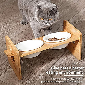 BINGBING Raised Pet Bowl for Cats and Small Dogs, Adjustable Elevated Dog Cat Food and Water Bowl Stand Feeder with Extra Stainless Steel Bowls (Small to Medium with 4 Bowls)