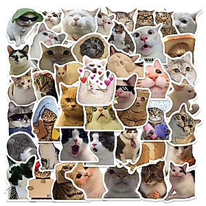 50Pcs Cute Cat Stickers Bulk Kawaii for Kids Water Bottle Cars Adults Laptop
