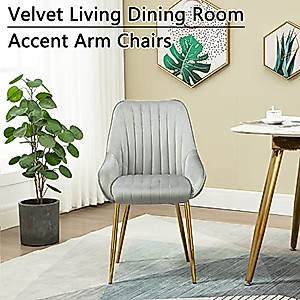 Dolonm Modern Living Dining Room Accent Chair Velvet Mid-Century Upholstered Side Chair with Gold Metal Legs Leisure Club Armchair (Grey)