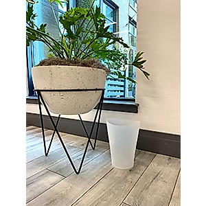 Rubbermaid Spa Works Vanity Wastebasket/Trash Bin, 9-Quart/2.25 Gallon, Clear, Small Plastic Garbage Can Fits Under Desk/Sink/Cabinet, Best Use for Home/Bathroom/Office/Laundry/Dorm Room