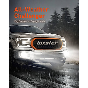 Luxster 2024 Punisher 40,000LM H1 LED Bulbs, 2023 Best Overall Winner, H1 Plug Adapters Included, Ultra-Bright TalonLED Chips, Plug-N-Play, 6000K Pure White Foglight, IP68 Waterproof, Pack of 2