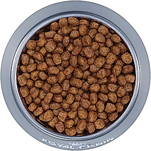 Royal Canin Chihuahua Adult Dry Dog Food, 2.5 lb bag