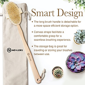 Nevlers Natural Boar Bristle Body Brush Set with Detachable Cellulite Massage Brush and Long Wooden Handle for Dry Brushing Perfect Kit to Exfoliate and Get Rid of Cellulite
