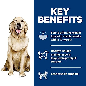 Hill's Science Diet Perfect Weight, Adult 1-6, Weight Management Support, Dry Dog Food, Chicken Recipe, 4 lb Bag