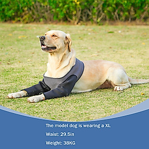 Dog Sleeves for Wounds Both Front Legs，Cone Collar Alternative, Abrasion Resistant Dog Recovery Sleeve, Washable 2.5mm Thick and Waterproof, Breathable Pet Wounds Prevent Licking, Bite Grey (Large)