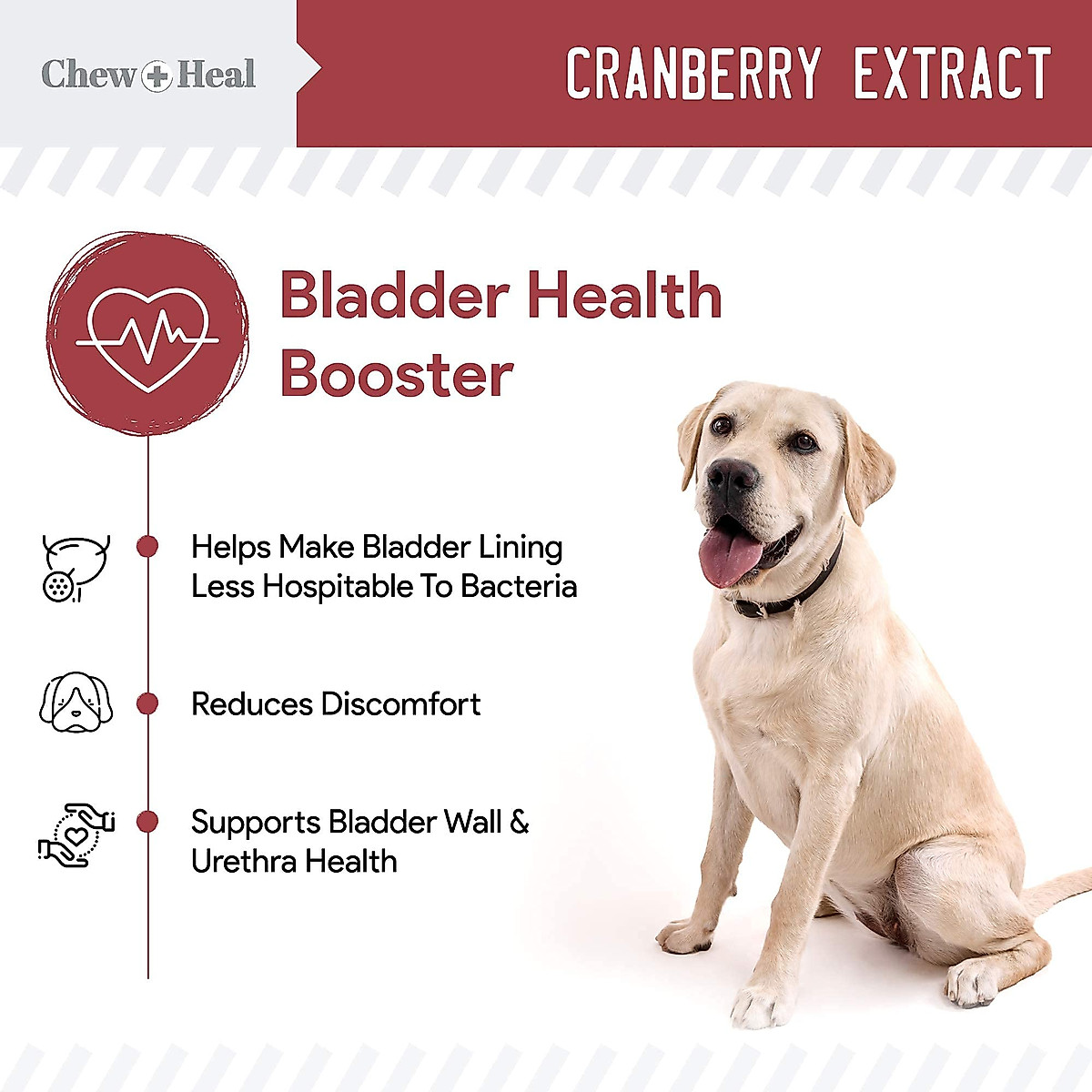 Digestive Enzymes and Probiotics and Cranberry UTI Support for Dogs - Supports Healthy Digestive Tract, Helps Nutrient Absorption - Healthy Urinary Tract and Bladder Function - 120 Soft Chews Each