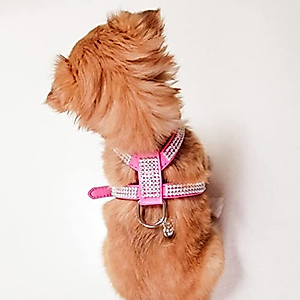 EXPAWLORER Dog Harness Genuine Leather Soft Padded Pet Sparkly Rhinestone Vest with Heart Pendant for Puppy Cat, Pink (S, Pink)