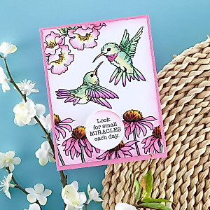 Spellbinders STP-193 Hummingbird Day Clear Stamp Set from The Stampendous Spring Collection