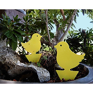 21C 21 CENTURY SOLUTIONS Yellow Sticky Fly Traps (25 Pack) for Gnat Whitefly Fungus Gnat Aphid Small Insects - Houseplant Disposable Glue Trappers - Bug Catcher - Bird Shape