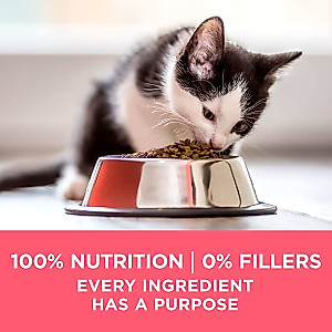 Purina ONE High Protein, Natural Dry Kitten Food, +Plus Healthy Kitten Formula - 16 lb. Bag