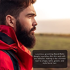 Pure Body Naturals Natural Beard Balm and Mustache Wax - Non-Greasy Conditioner for Beard Growth and Softening, Amber Musk Scent - 1.75 oz