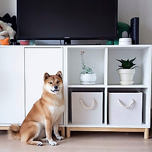 BeigeSwan Foldable Bamboo Fabric Storage Bins [set of 4] with Cotton Rope Handles, Collapsible Organizer Boxes Basket - 10.5 x 10.5 x11 inch (Beige)