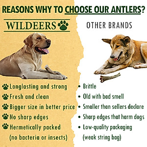 Wildeers Large Deer Antlers for Dogs - Premium Dog Antler Chews - Made in USA, Naturally Shed, Healthy Treat - Grade A, 7-9 in, 3 Pieces, Long Lasting Antler Chew Bones for Aggressive Chewers