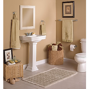 Moen YB8099CH Mason Toilet Paper Roller, Chrome