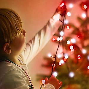 82FT 200 LED Red White Christmas Lights Outdoor/Indoor, Timer & Memory Function & 8 Modes, Extendable Green Wire, Waterproof String Lights for Xmas Tree Holiday Party Garden Yard Decor (Red & White)