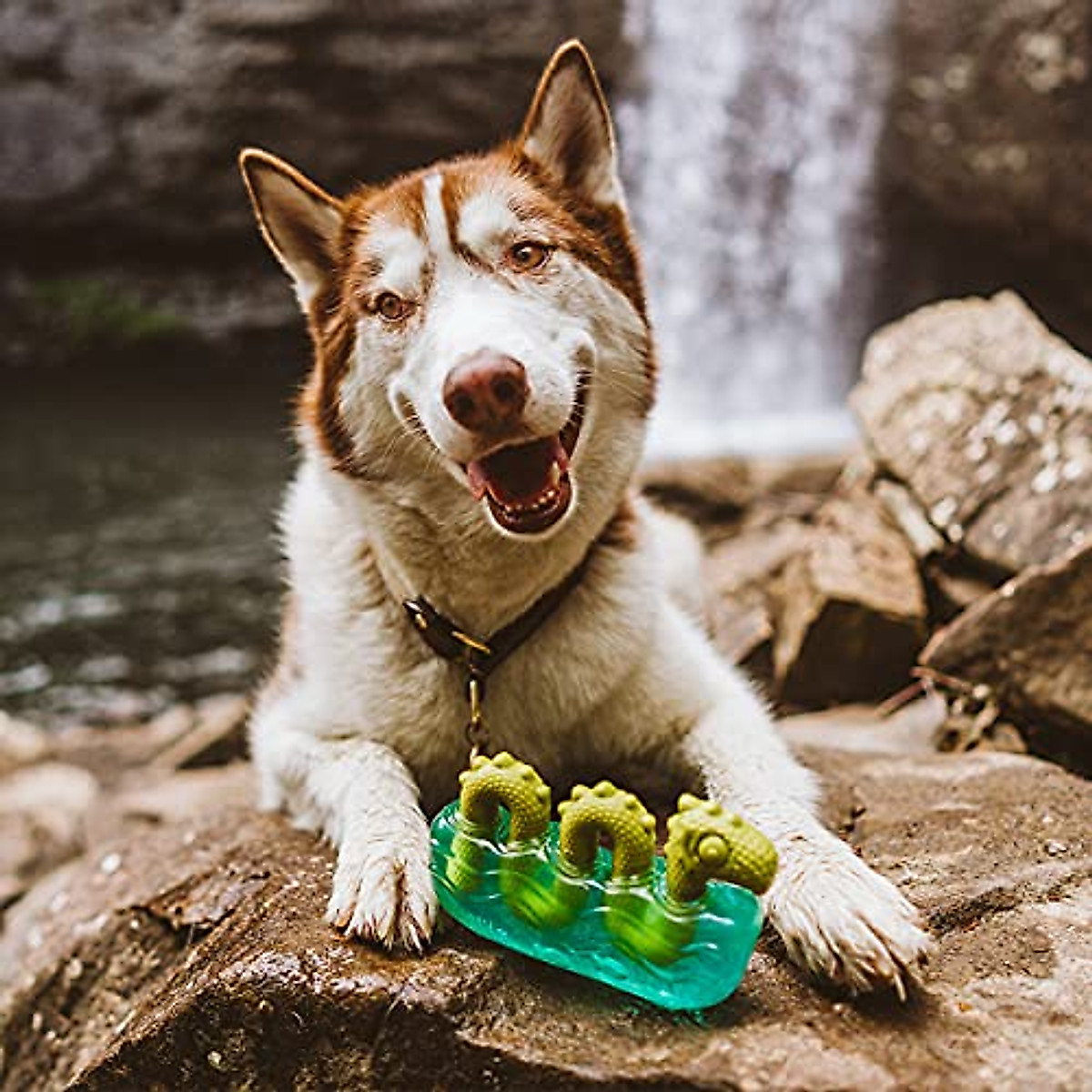 Barkbox Tough Dog Toys & Chews for Aggressive Chewers, Durable Rubber & Nylon Super Chewer Treat Dispensing, Balls, & Teething Toys for Small, Medium, & Large Dogs & Puppies, The Dog Ness Monster