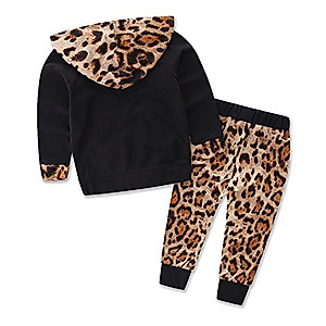 Baby Girls Floral Hoodie+ Floral Pant Set Leggings 2 Piece Outfits for 6M-3Y (18-24Months, Leopard)