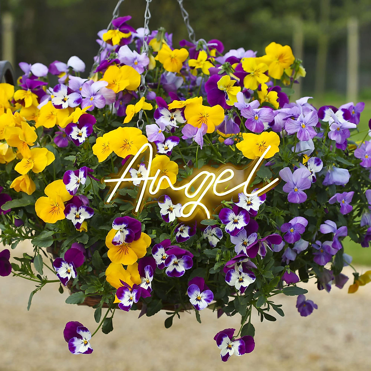 Angel Neon Sign Warm White, Large 23.6x10.6 inches Letter Angel Neon Light USB Powered Light Up Sign for Home, Bedroom Wall Deco, Birthday Wedding Engagement Party Decor, Graduation, Baby Shower Gifts