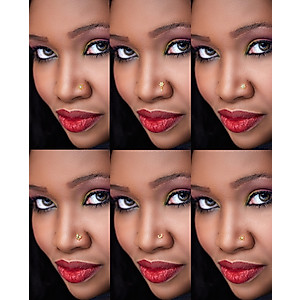 Fxiqini 12Pcs Nose Stud Rings L Shaped Cubic Zirconia Stainless Steel Nose Studs Moon Butterfly Snake Flower Red Heart Star Dangle Nose Piercing Jewelry Nose Stud for Women Men 20G Silver Gold Tone