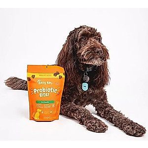 Probiotic Bites for Dogs 170 Soft Chews– Compatible with Zesty Paws Pumpkin Flavor