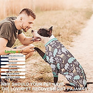 LovinPet Dog Onesie, Hippos Zoo Cozy Dog Pajamas, Slim fit, Lightweight Pullover Pajamas/Full Coverage Dog pjs/Back Snap Button is only Decoration/Medium