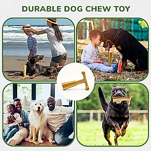 SPOT Bam-Bones Plus T Bone - Bamboo Fiber & Nylon, Durable Long Lasting Dog Chew for Aggressive Chewers – Great Toy for Adult Dogs & Teething Puppies Under 90lbs, Non-Splintering, 7in Chicken Flavor