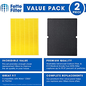 Fette Filter - Air Purifier True HEPA Filter Replacement Compatible with Winix 116131 Filter I for C555, Premium H13 True HEPA and Washable Advanced Carbon Filter - Pack of 1