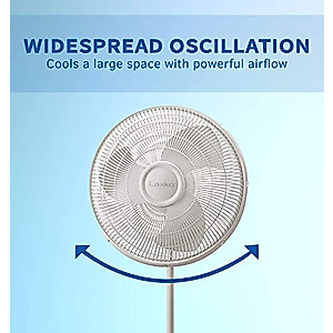 Lasko 2520 Oscillating Stand Fan,White 16 Inch