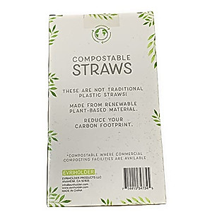 Renewable Plant Based Straws - Compostable 100ct White Environmentally Friendly Straws