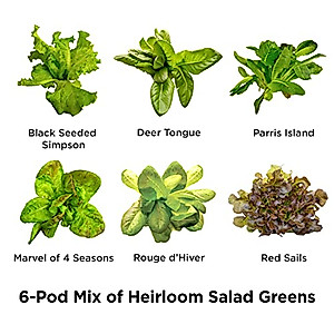 AeroGarden Heirloom Salad Greens Mix Seed Pod Kit - Salad Kit for AeroGarden Indoor Garden, 6-Pod