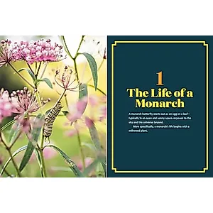 100 Plants to Feed the Monarch: Create a Healthy Habitat to Sustain North America's Most Beloved Butterfly