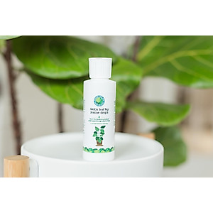 Fiddle Leaf Fig Rescue Drops by Fiddle Leaf Fig Plant Resource | 3-in-1 Liquid Fertilizer, Root Supplement & Immunity Booster (3.3 Fluid Ounces - 100ml)