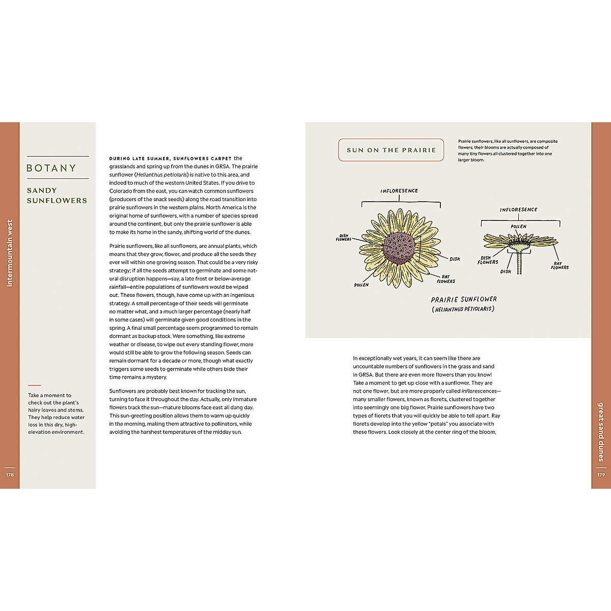 Scenic Science of the National Parks: An Explorer's Guide to Wildlife, Geology, and Botany