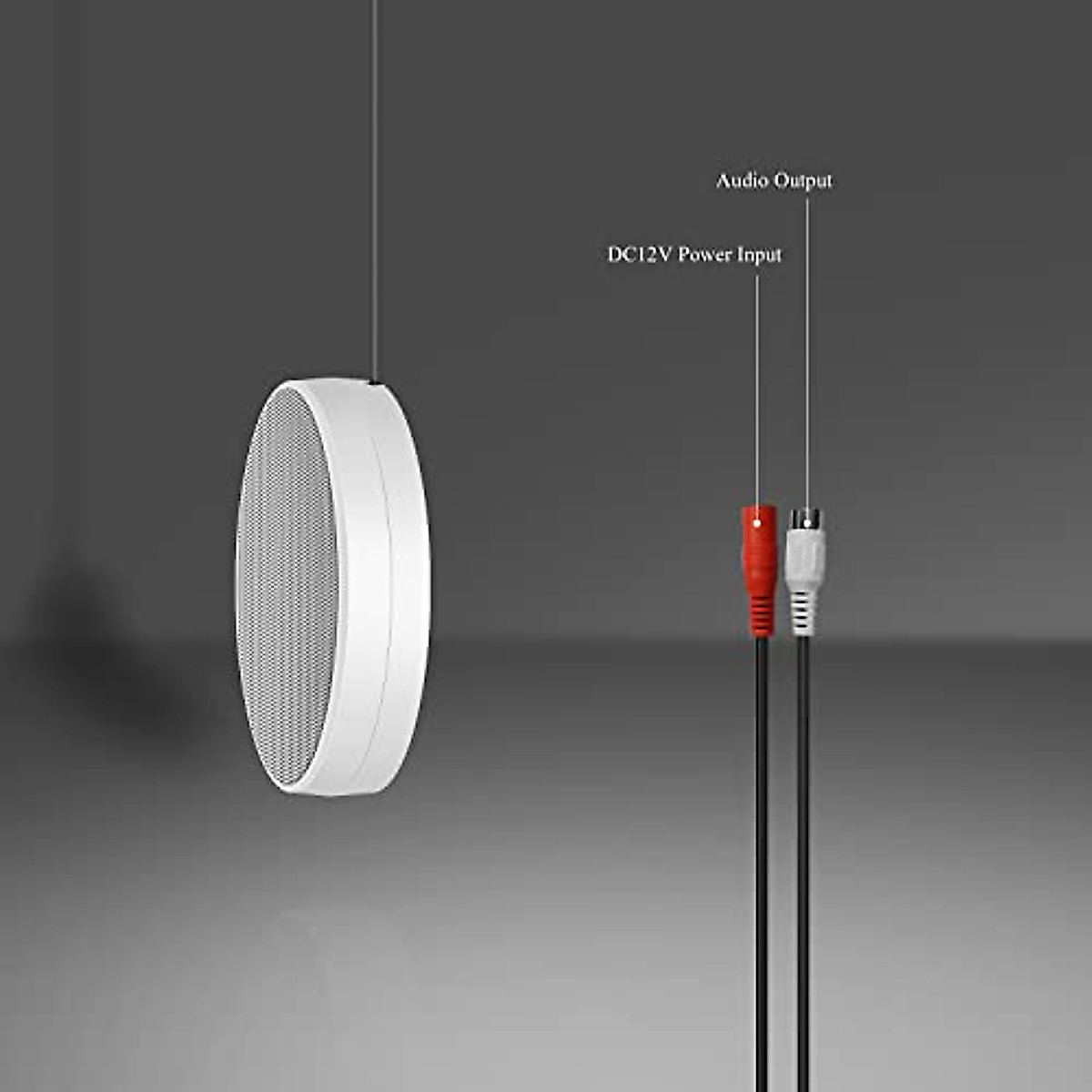 SiZHENG COTTS30 CCTV Microphone Noise Reduction Home Microphone Exterior Security Recording Pickup -35dB Outdoor Microphone RCA Female for CCTV Security Camera System DVR Sound（AV Female）