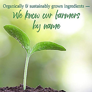 Garden of Life Super Greens Powder Smoothie & Mix, Probiotics & Digestive Enzymes for Digestive Health, Organic Superfoods Nutrition Fruit and Vegetables for Women & Men Energy, Original, 60 Servings