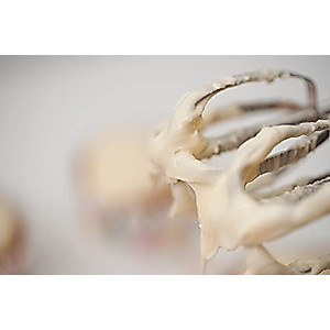 Good Dees Just Add Water Cream Cheese Frosting Mix, Keto Frosting Mix, No Sugar Added Frosting,Gluten Free & Maltitol Free, Diabetic, Atkins & WW Friendly (60 Calories, 1g Net Carb Per Serving)