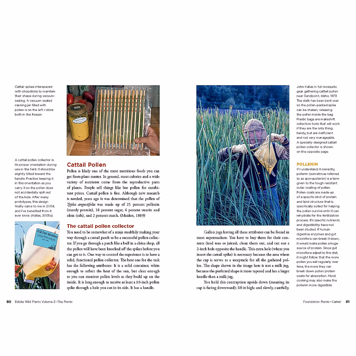 Edible Wild Plants, Volume 2: Wild Foods from Foraging to Feasting (Wild Food Adventure)