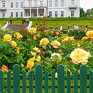 Sunnyglade 12 Pack Garden Edging Decorative Border Recycled Plastic Landscape Garden Fence Flexible No-Dig Spikes,Dark Green